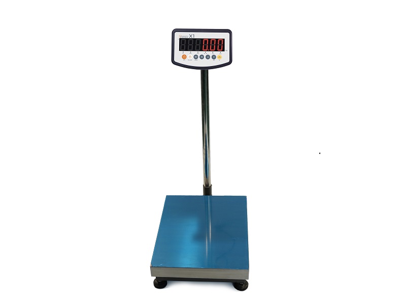 Bsm Stainless Steel Platform Scale Tcs Electronic Platform Weighing Scale